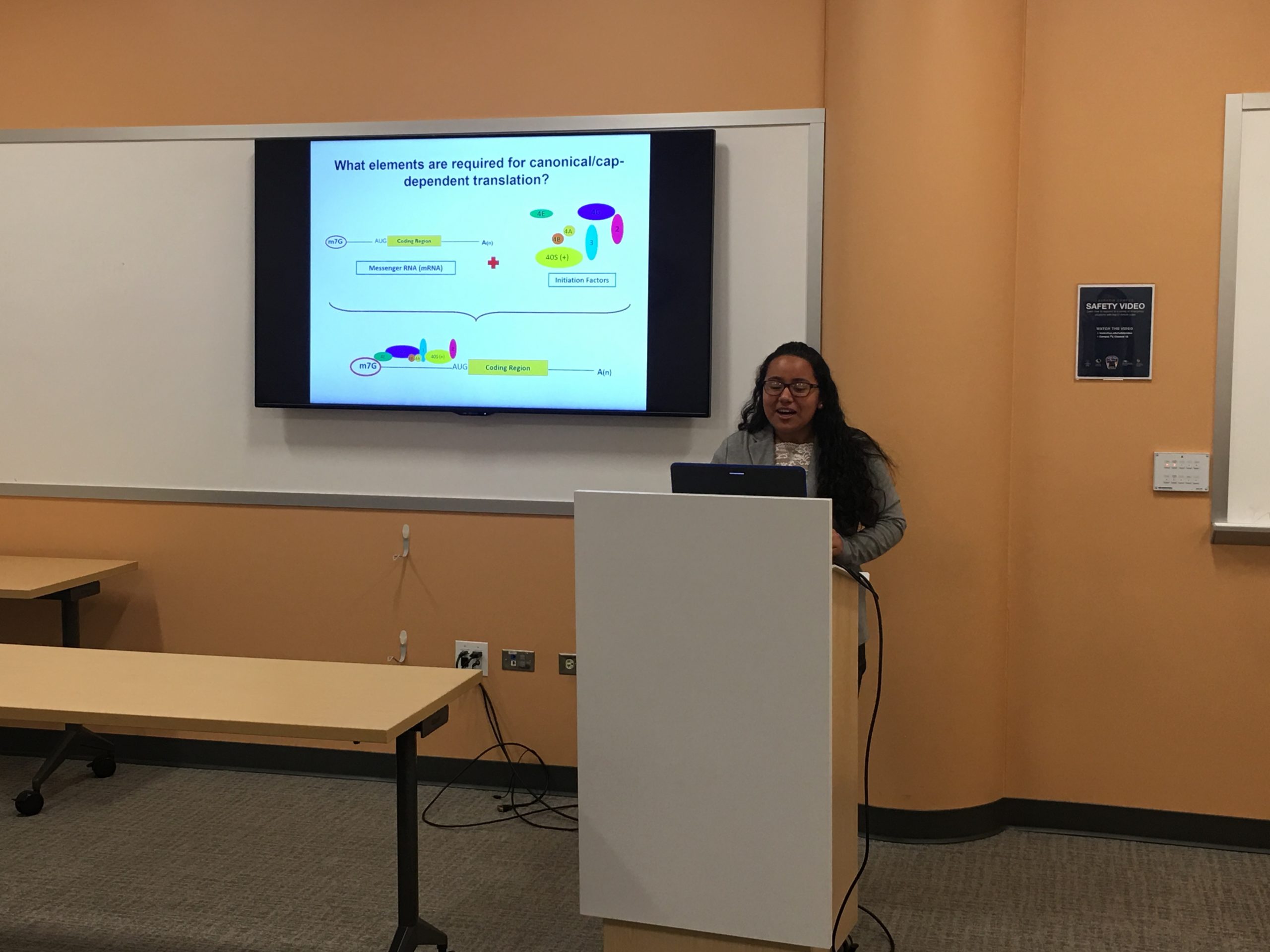 Gallery – Filbin Research Lab